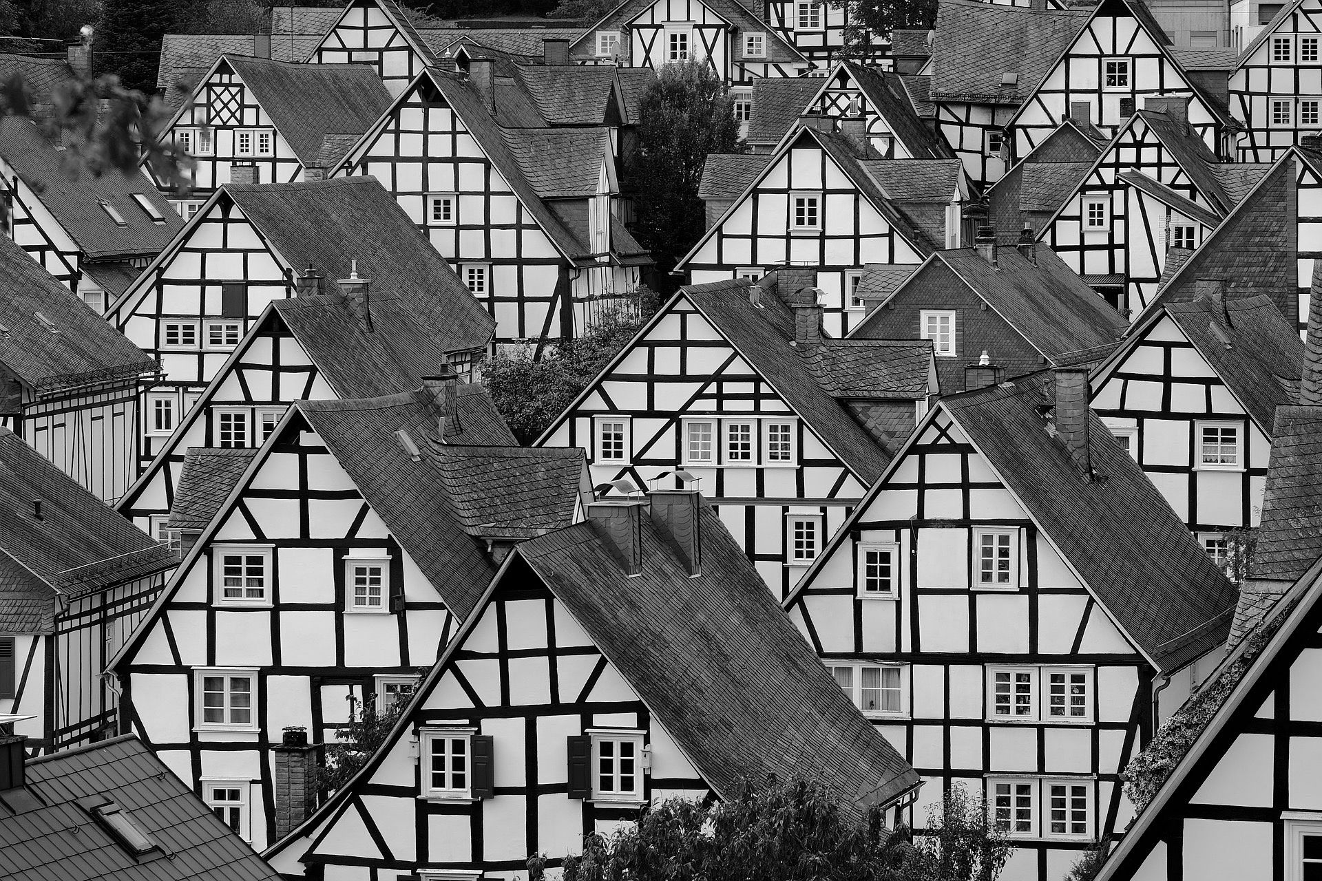 Selo i grad - nomad.ba