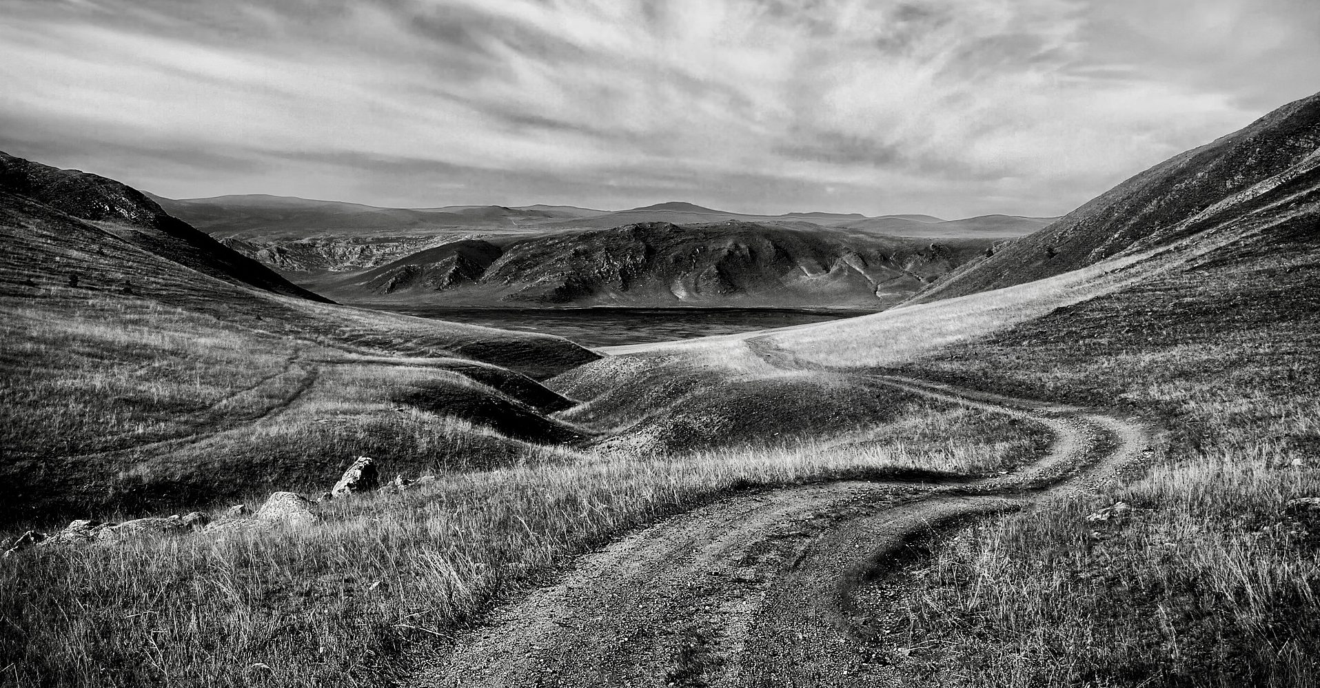 Hesse: Stepski vuk - nomad.ba