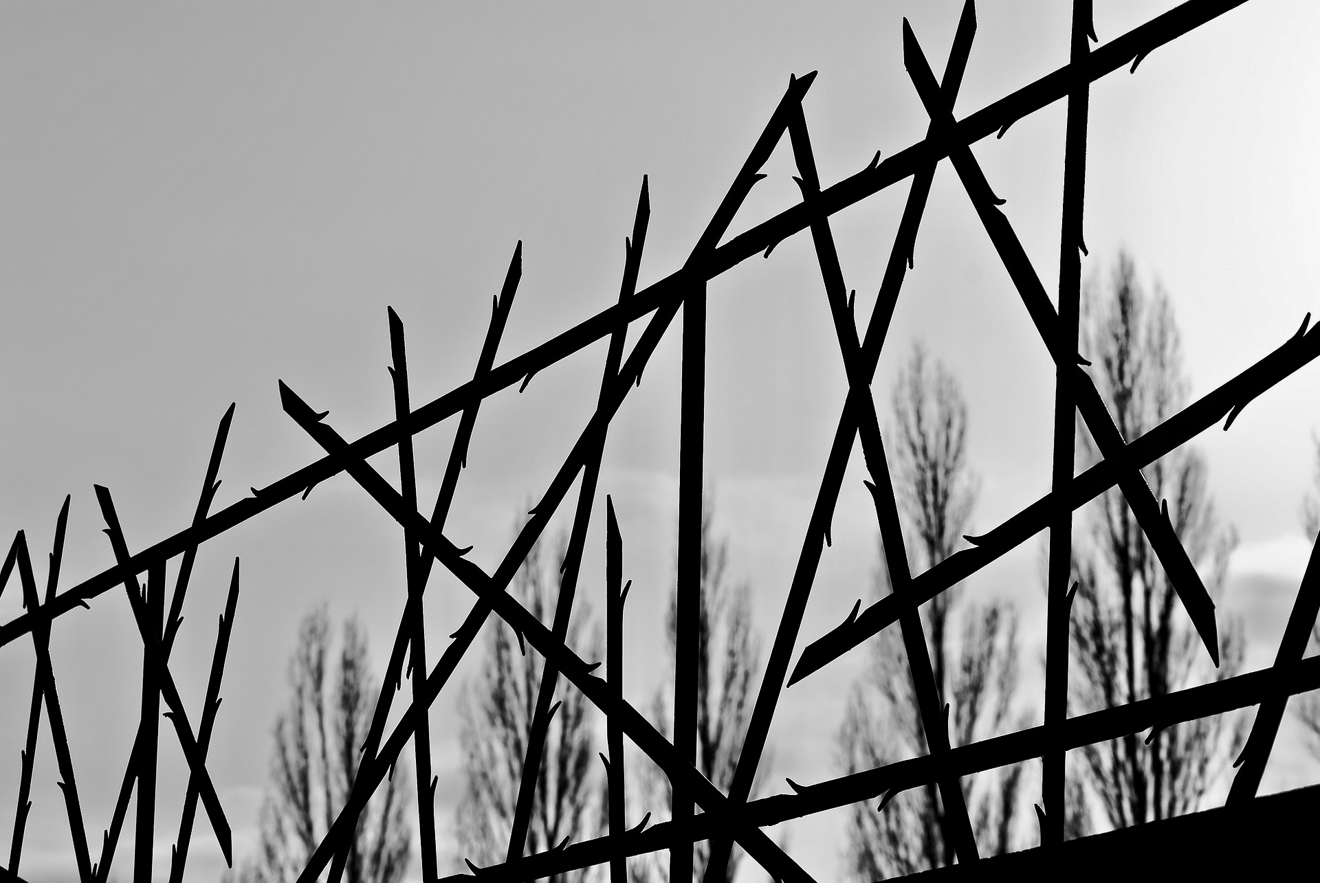 Wallis: Tragom žena pobjeglih iz marša smrti - nomad.ba