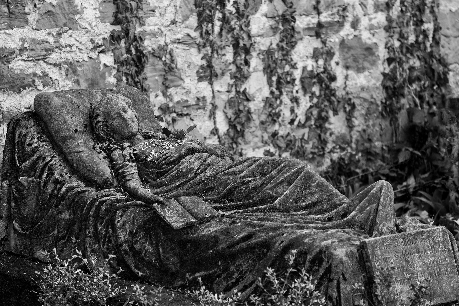 Tenžera: Sloboda u rezervatu - nomad.ba