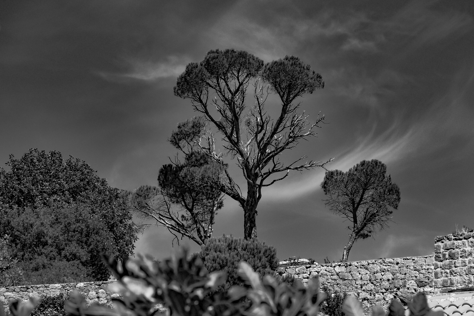 Fehimović: Mlet - nomad.ba