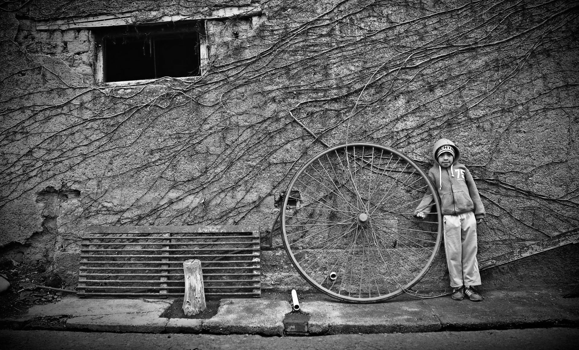 Harter: Slom humanitarnog sistema - nomad.ba