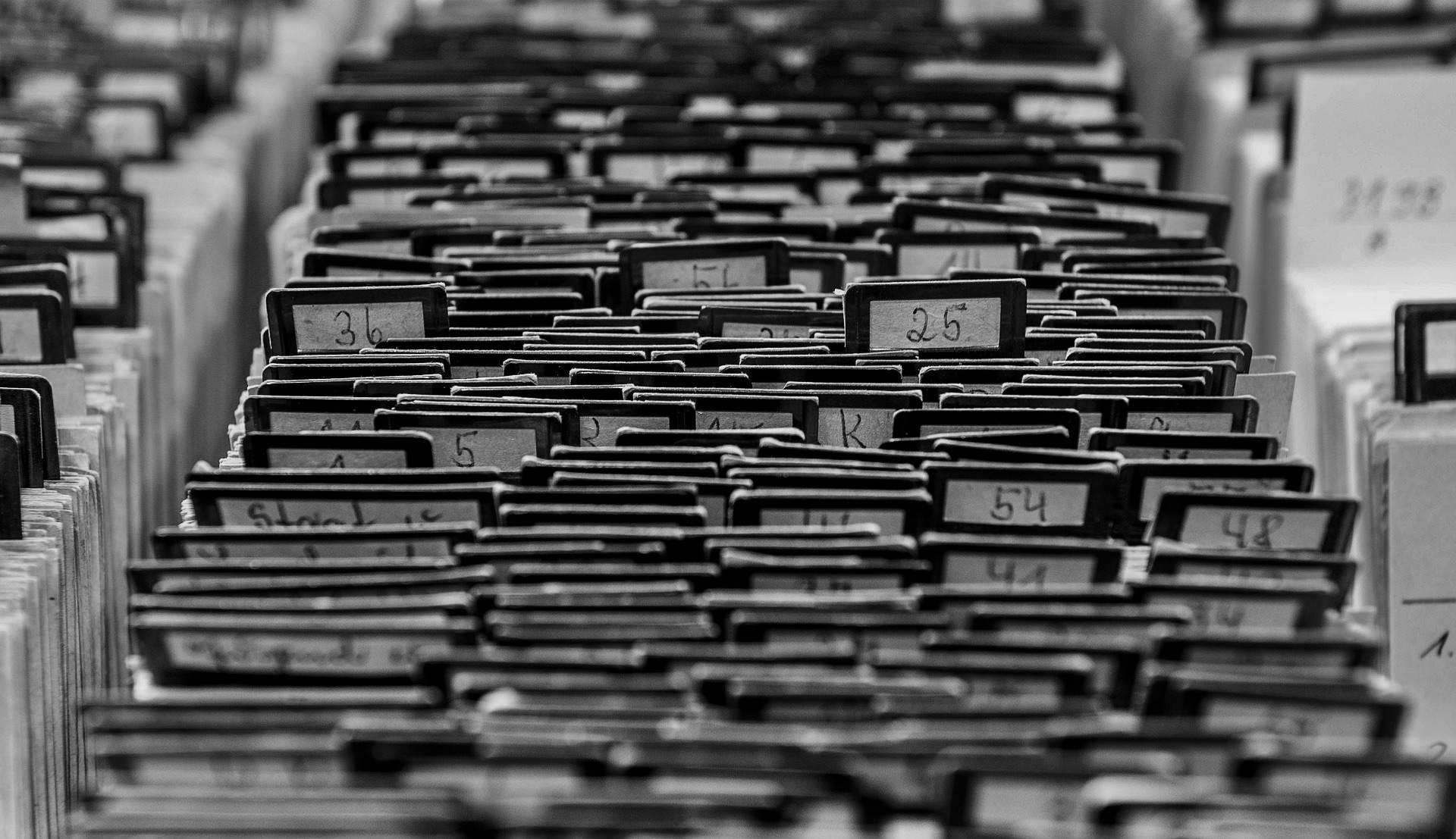 Bakotin: Izraelski genocid, dokumentiran - nomad.ba