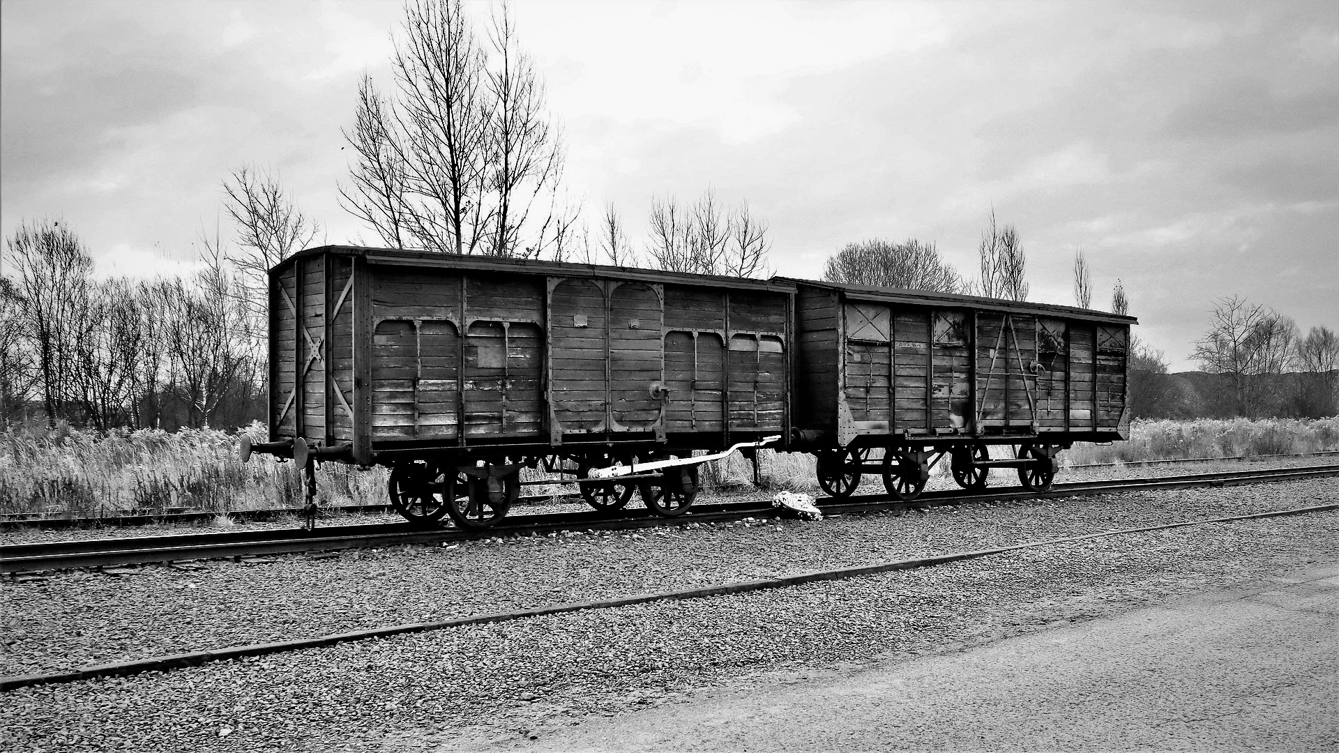 Bakotin: Svijet okrenut naglavce - nomad.ba